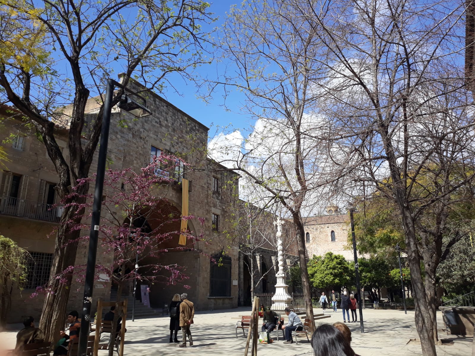 El Raval – PEJUCAT